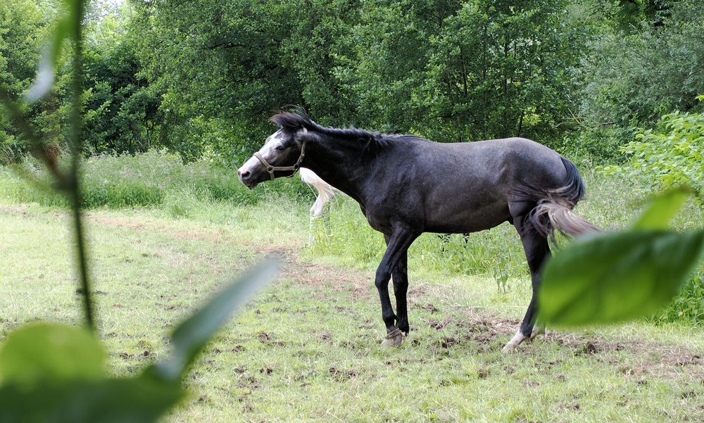 Donnerstag mit Durchblick… Foto & Bild | spezial, durchblick, projekte Bilder auf fotocommunity