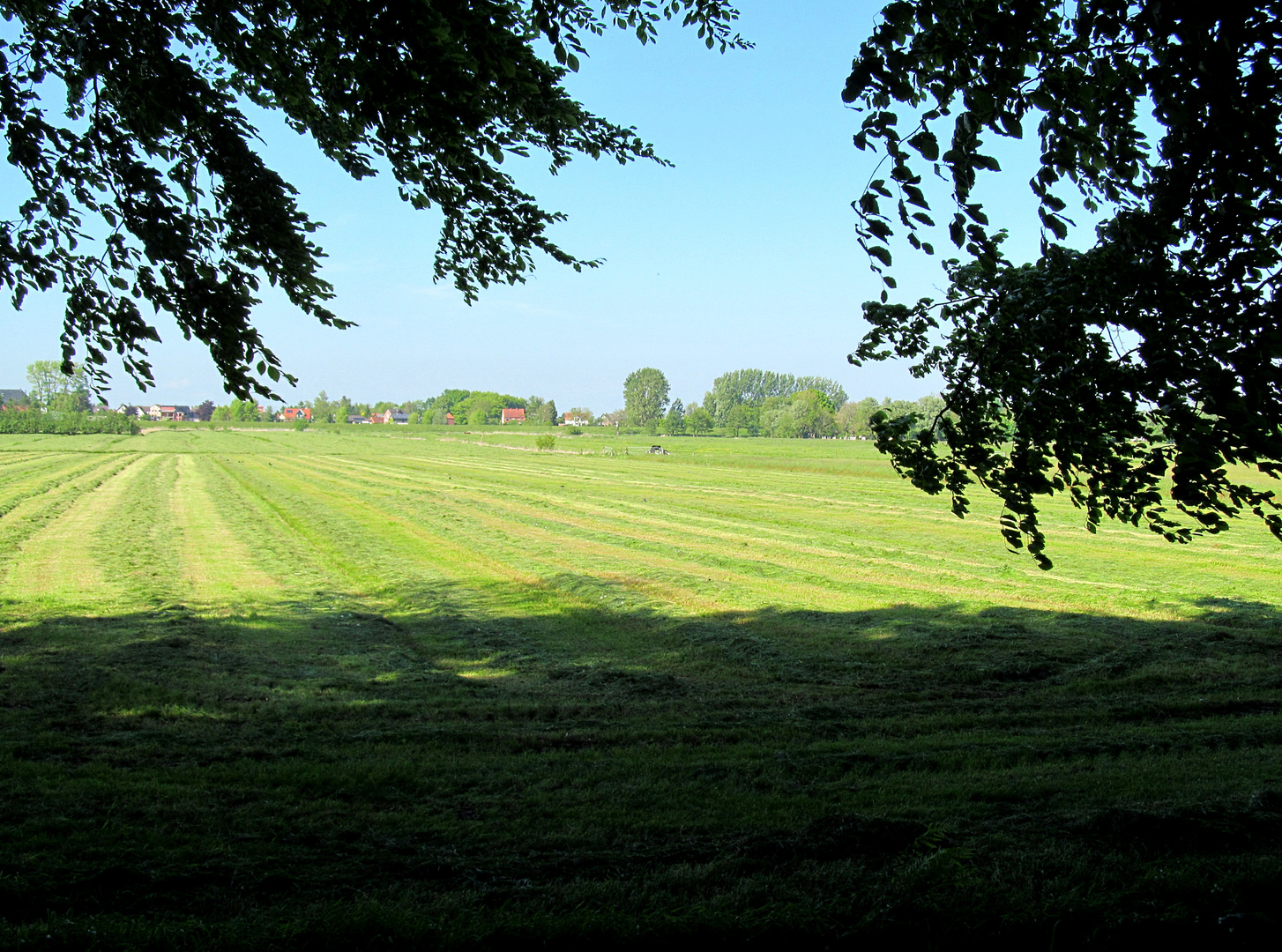 Donnerstag mit Durchblick Foto & Bild | outdoor, wiese, frühling Bilder auf fotocommunity
