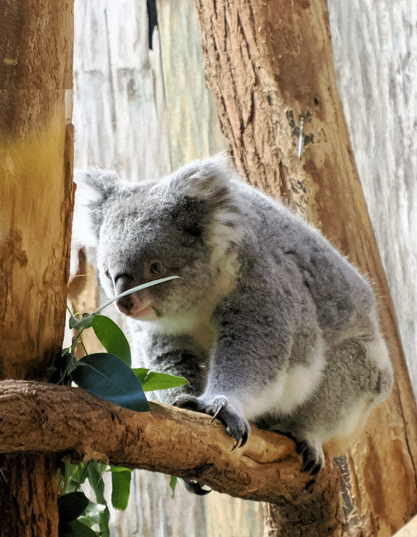 Donnerstag mit Durchblick… Foto & Bild | durchblick, motive, projekte Bilder auf fotocommunity