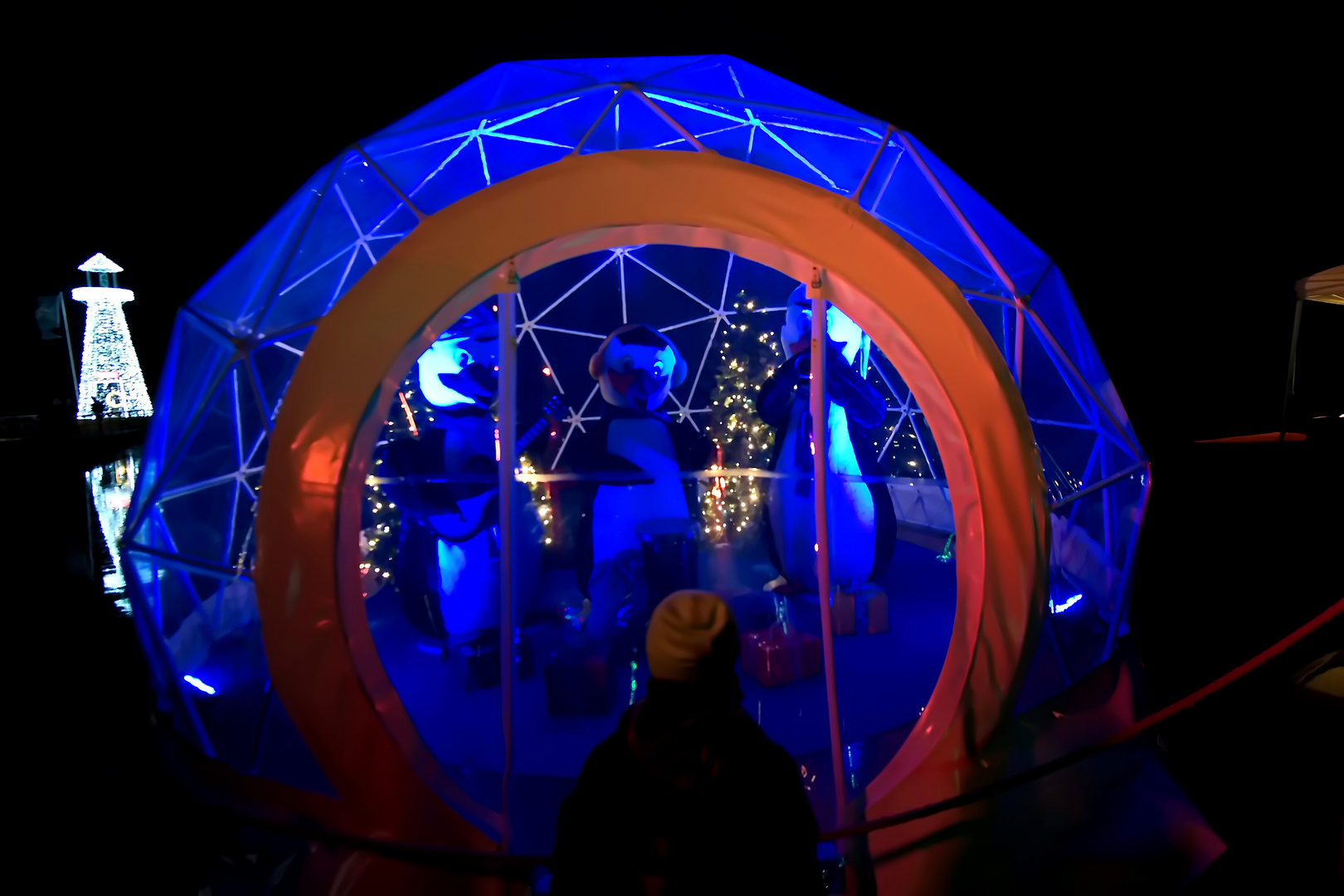 Donnerstag mit Durchblick - Dieser Durchblick bot sich im Januar 2022 ... Foto & Bild ...