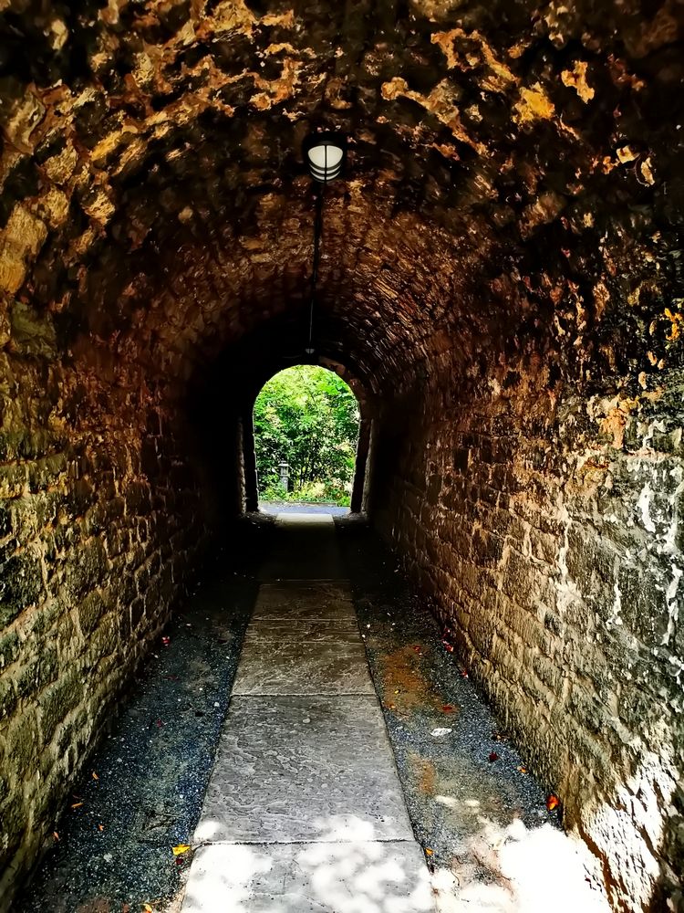 Donnerstag mit Durchblick Durchgang im Botanischen Garten Göttingen Foto & Bild | architektur ...