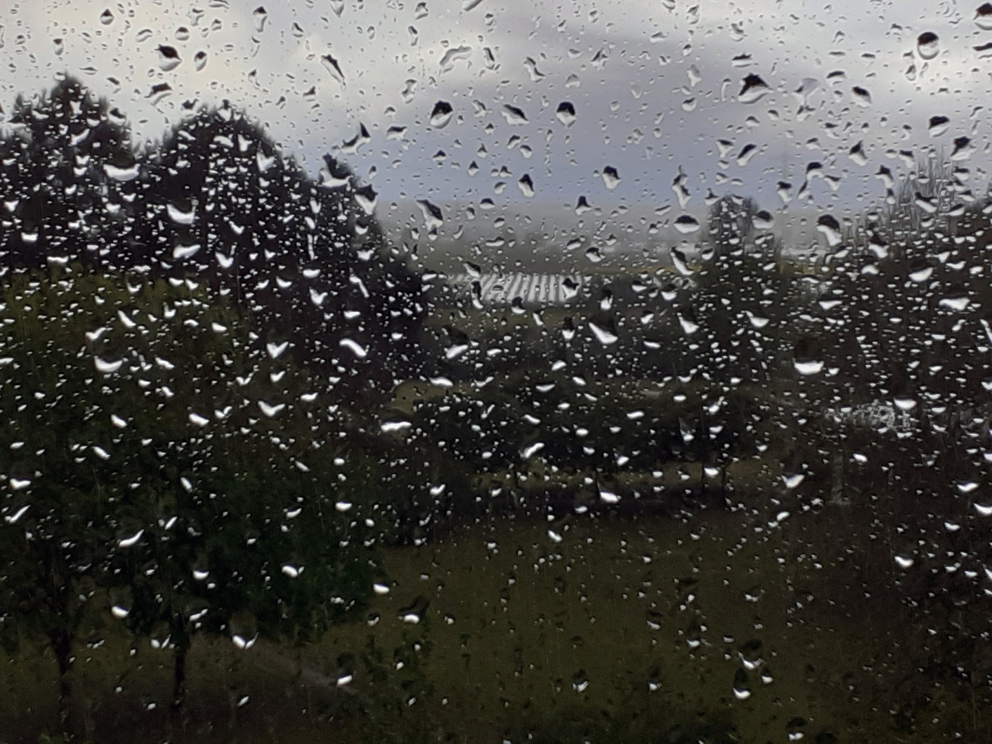 Donnerstag mit Durchblick Foto & Bild | reportage dokumentation, projekte, regenfotos Bilder auf ...