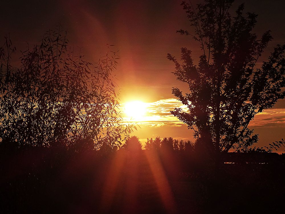 Donnerstag mit Durchblick Foto & Bild | spezial, sonnenuntergang, sonne Bilder auf fotocommunity