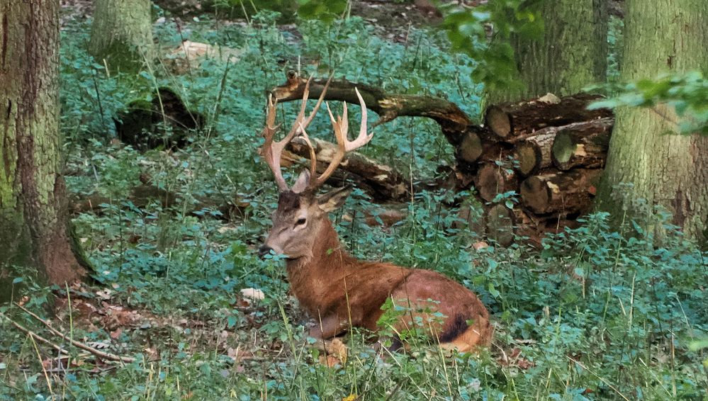 Donnerstag mit Durchblick… Foto & Bild | spezial, durchblick, projekte Bilder auf fotocommunity