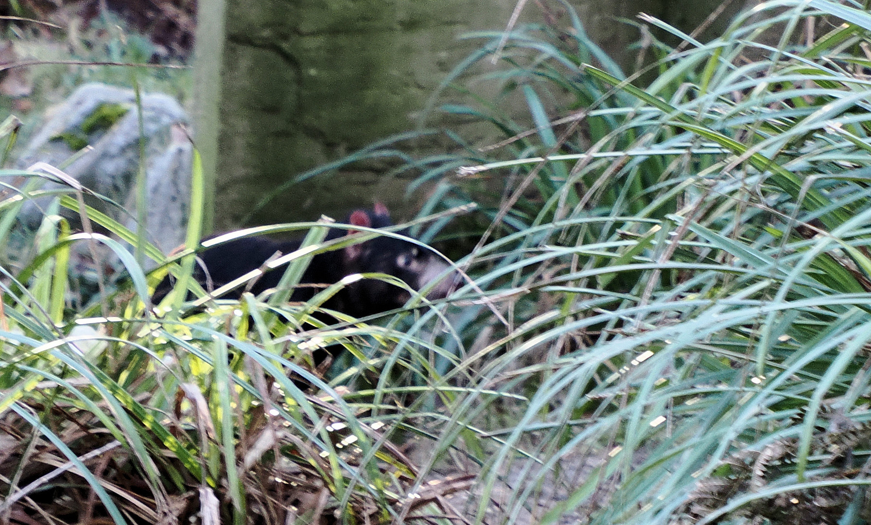 Donnerstag mit Durchblick… Foto & Bild | durchblick, projekte, thementage Bilder auf fotocommunity