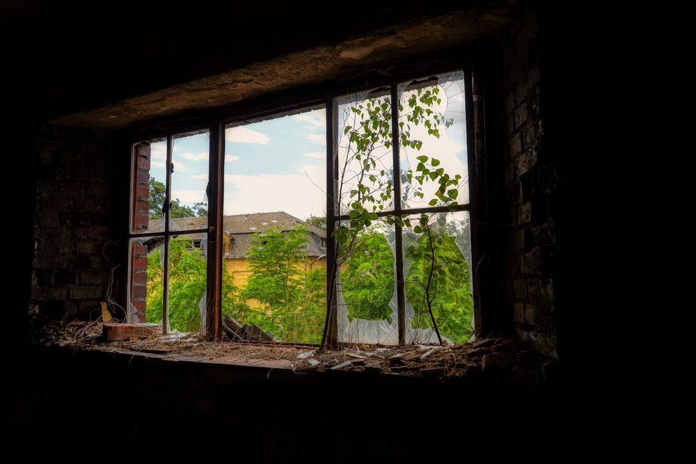 Donnerstag mit Durchblick - Grünes Marodistan Foto & Bild | architektur, projekte, lost places ...