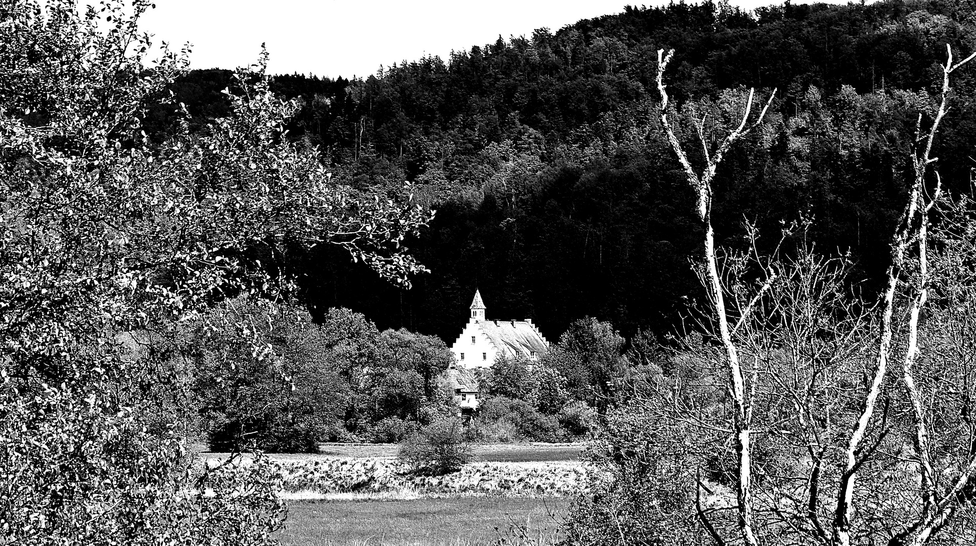 Donnerstag mit Durchblick und Schwarzweißer Freitag in einem Foto & Bild | landschaft, projekte ...