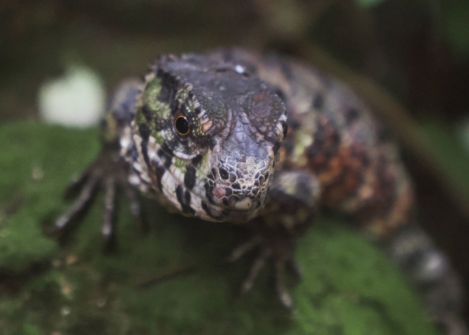 Donnerstag mit Durchblick…durch die Scheine … Foto & Bild | fotos, spezial, durchblick Bilder ...