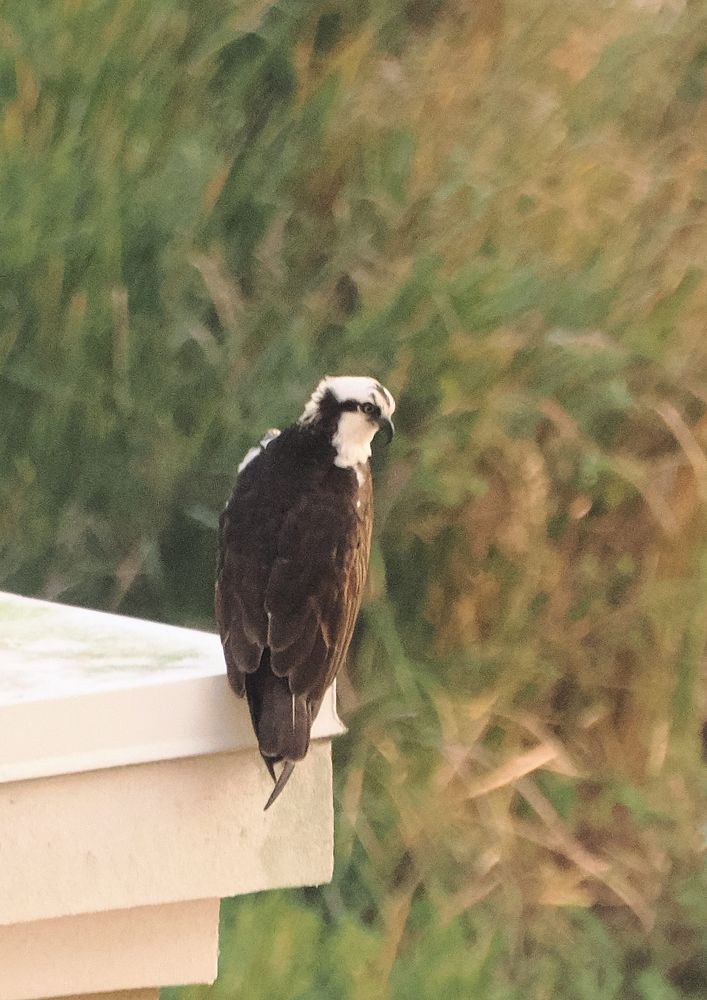 Donnerstag mit mäßigem Durchblick… Foto & Bild | spezial, durchblick, projekte Bilder auf ...