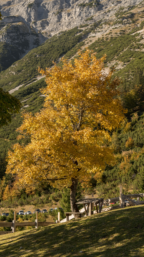 Doofes Hochformat,aber ich mußte ihn einfach auf`m Bild haben :-) Foto ...