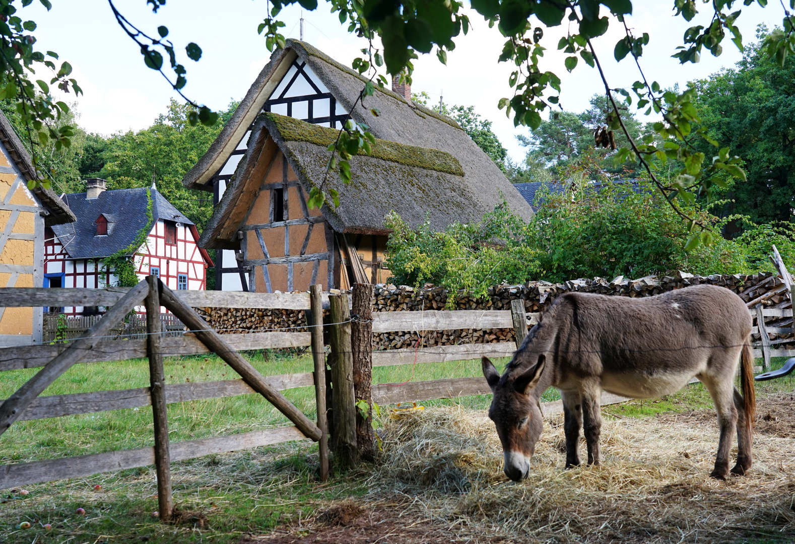Dorfidyll (Freilichtmuseum Kommern) Foto & Bild | deutschland, europe ...