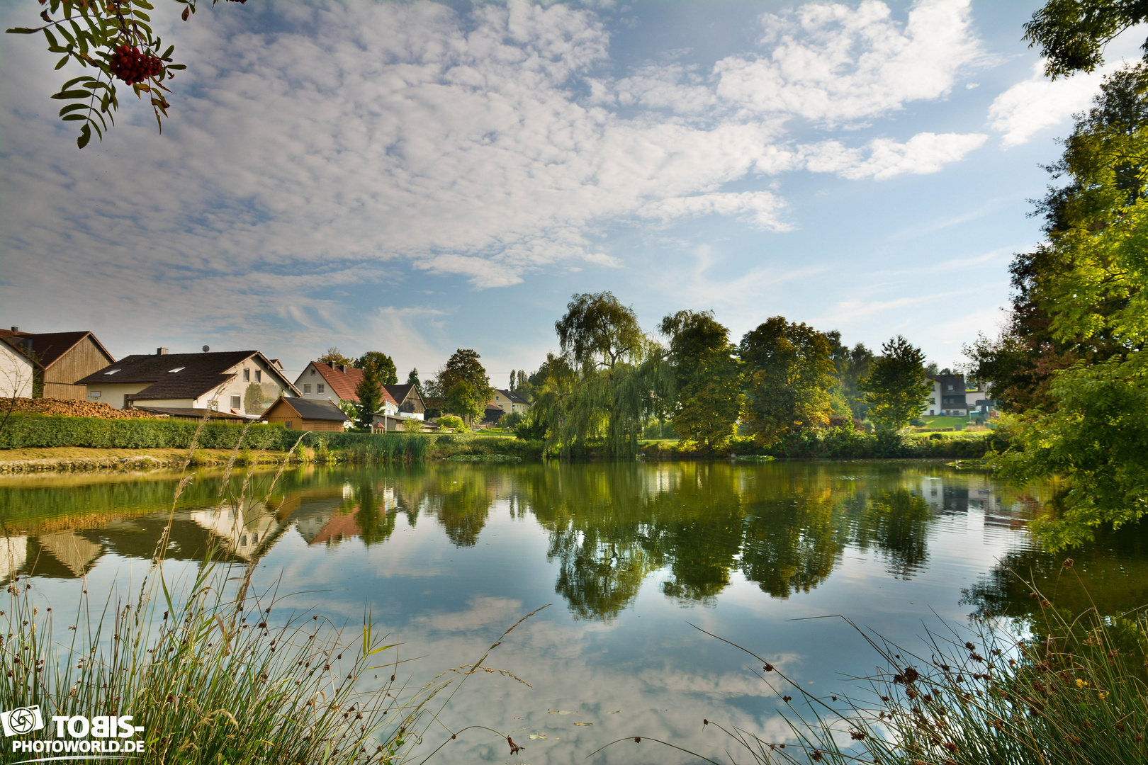Dorfweiher in Hagendorf Foto & Bild | landschaft, bach, fluss & see ...