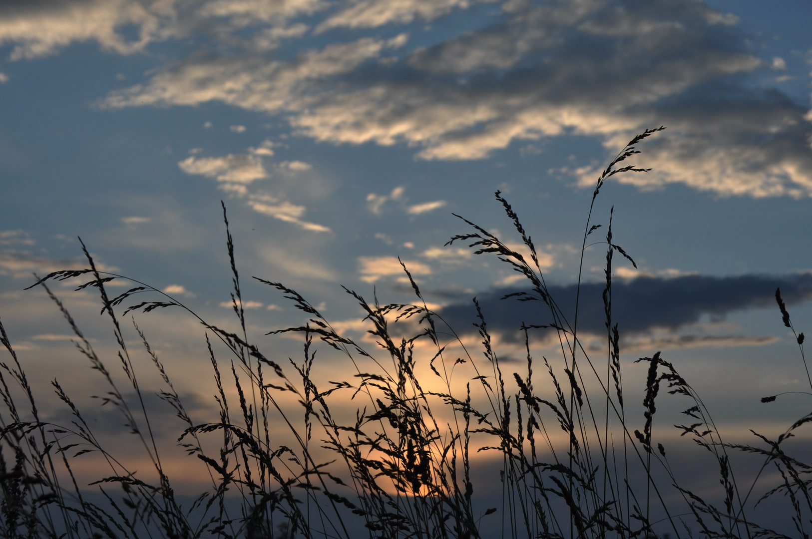 Douceur matinale photo et image | paysages, ciel, nuages, nature Images ...
