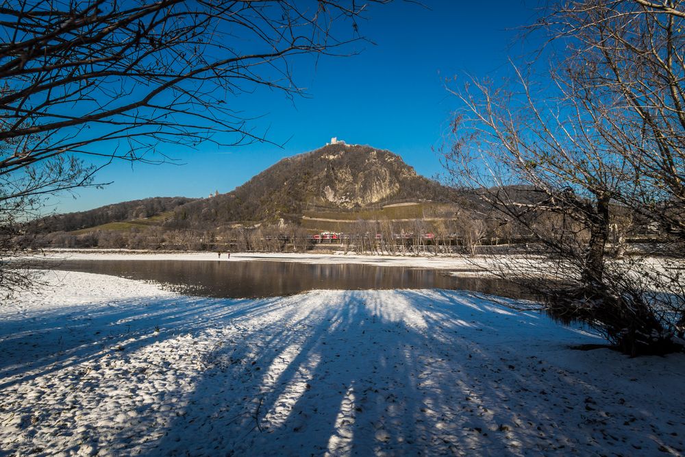 Drachenfels Foto & Bild | landschaft, jahreszeiten, winter Bilder auf fotocommunity