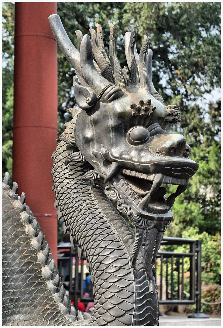 Dragon chinois photo et image | chine, sculpture, asie Images fotocommunity