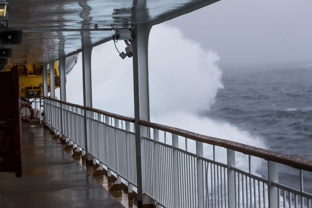 Drake shake Foto & Bild | world, wasser, meer Bilder auf fotocommunity