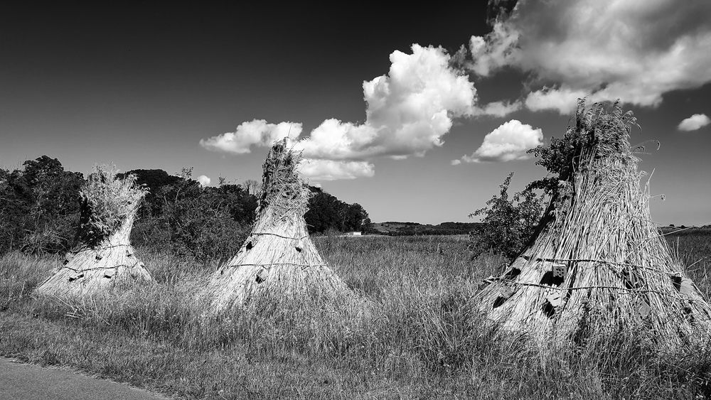 Drei Garben am Wegesrand Foto & Bild | deutschland, europe, mecklenburg ...