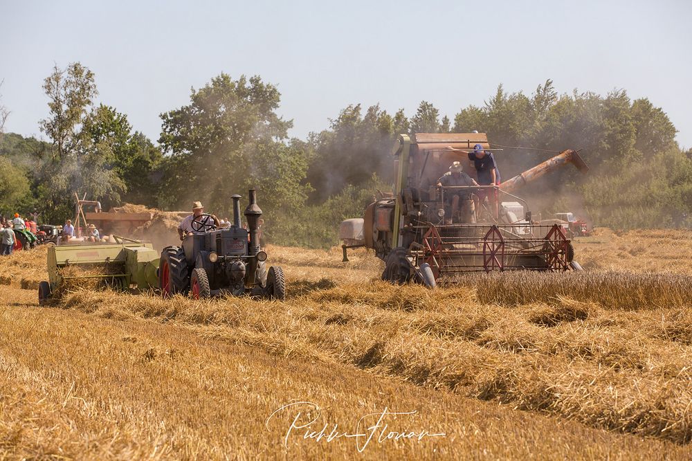 Dreschen Foto & Bild | industrie und technik, autos & zweiräder ...