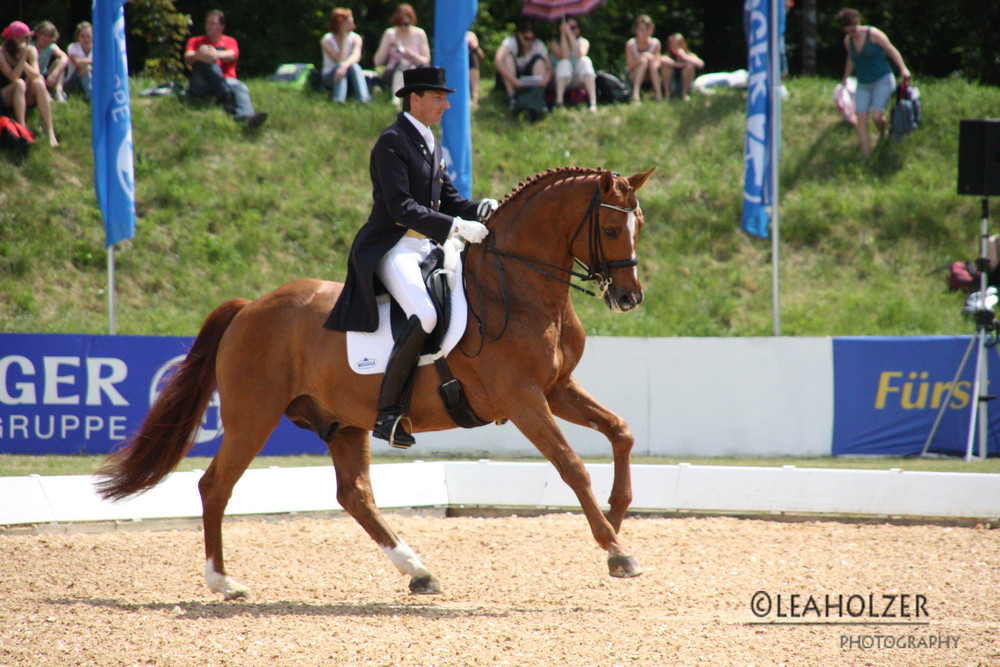 Dressurpferd Foto & Bild | tiere, haustiere, pferde, esel, maultiere ...