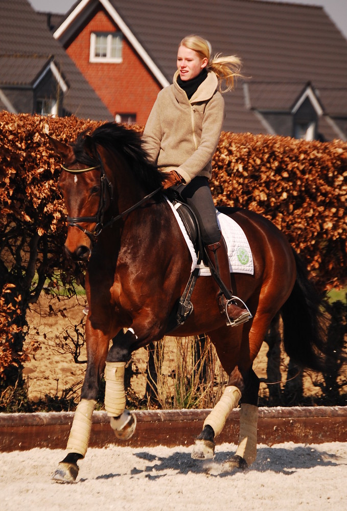Dressurpferd im Training Foto & Bild | tiere, motive Bilder auf ...