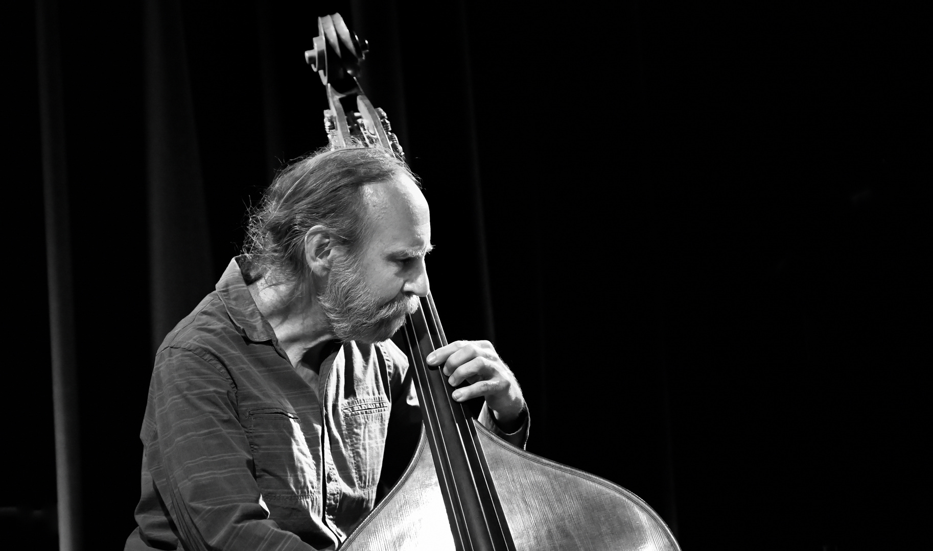 Drew Gress Foto & Bild | kunstfotografie & kultur, musik & konzert ...