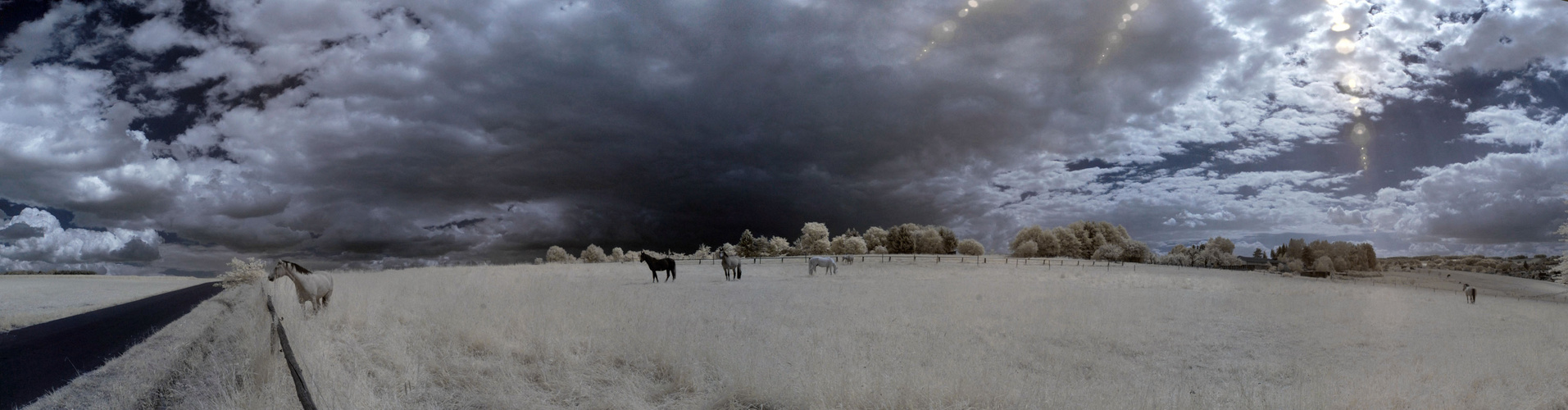 Drohendes Unheil Foto & Bild | infrarot, techniken, farb-infrarot ...