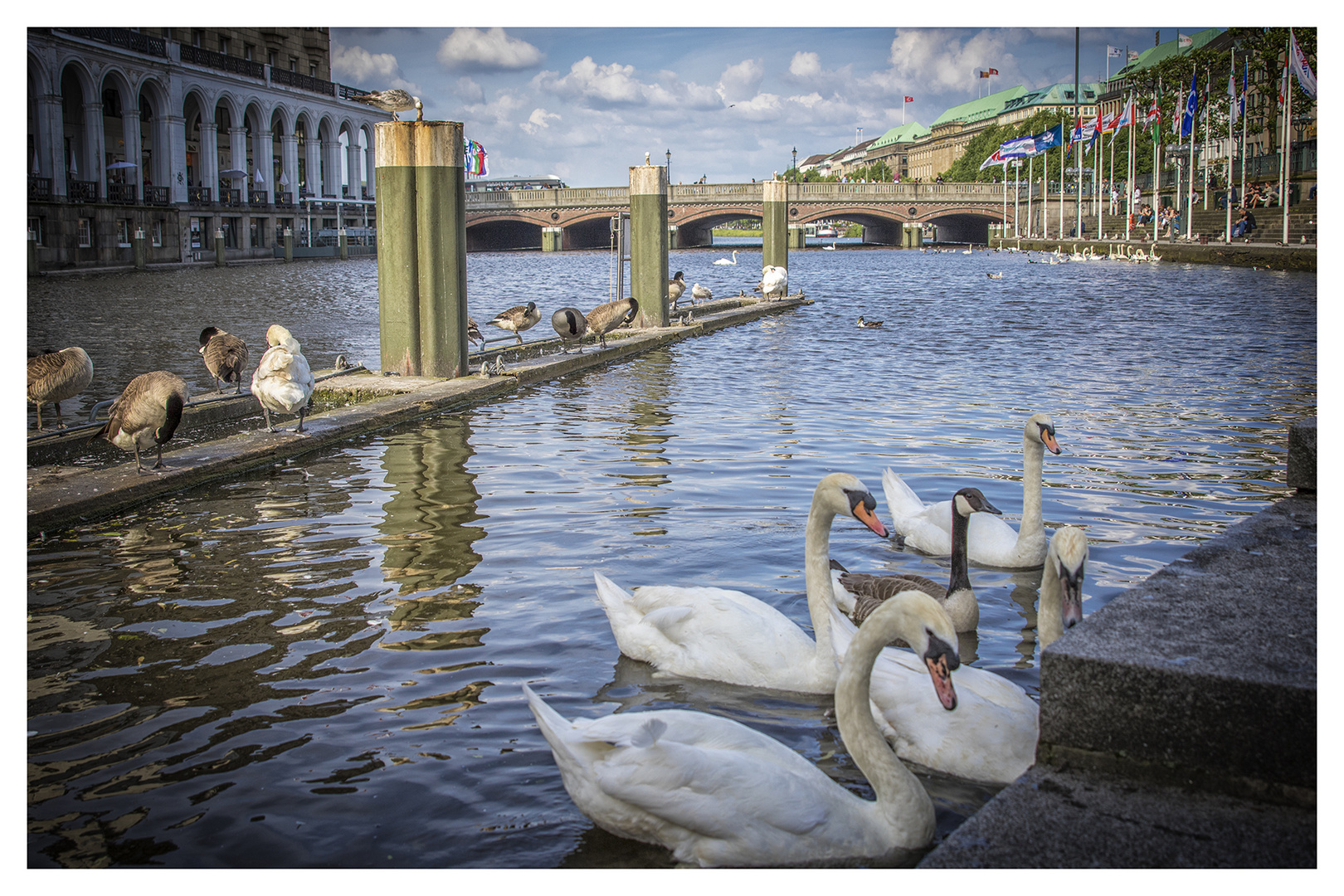 DRT - Hamburg Foto & Bild | spezial, hamburg, rätselecke Bilder auf ...