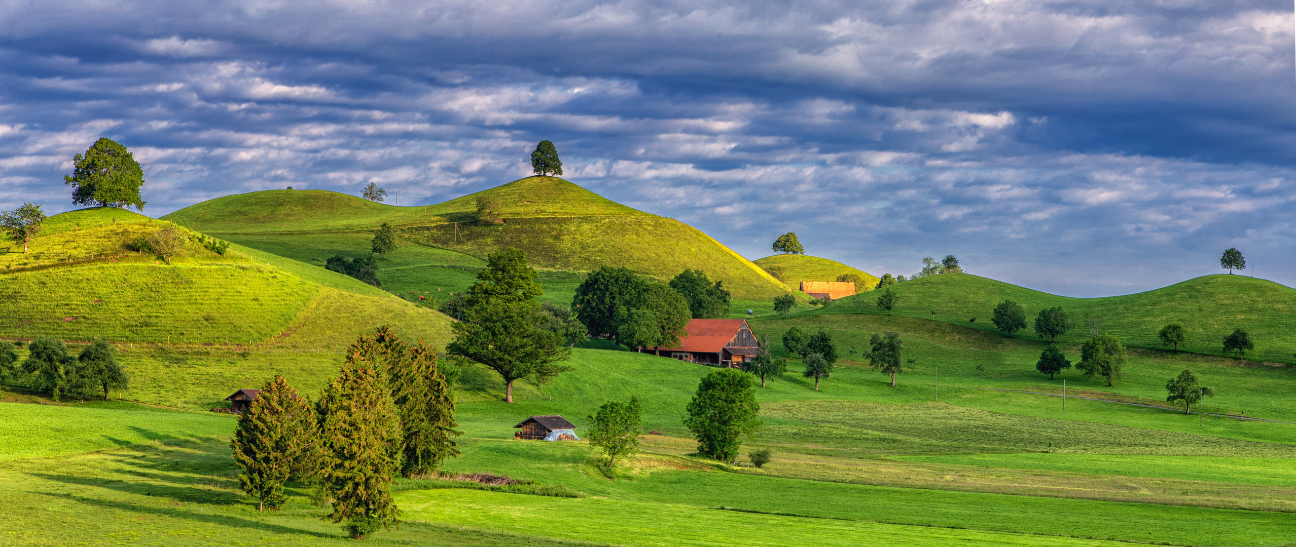 Drumlins 3 Foto & Bild | natur, landschaft Bilder auf fotocommunity