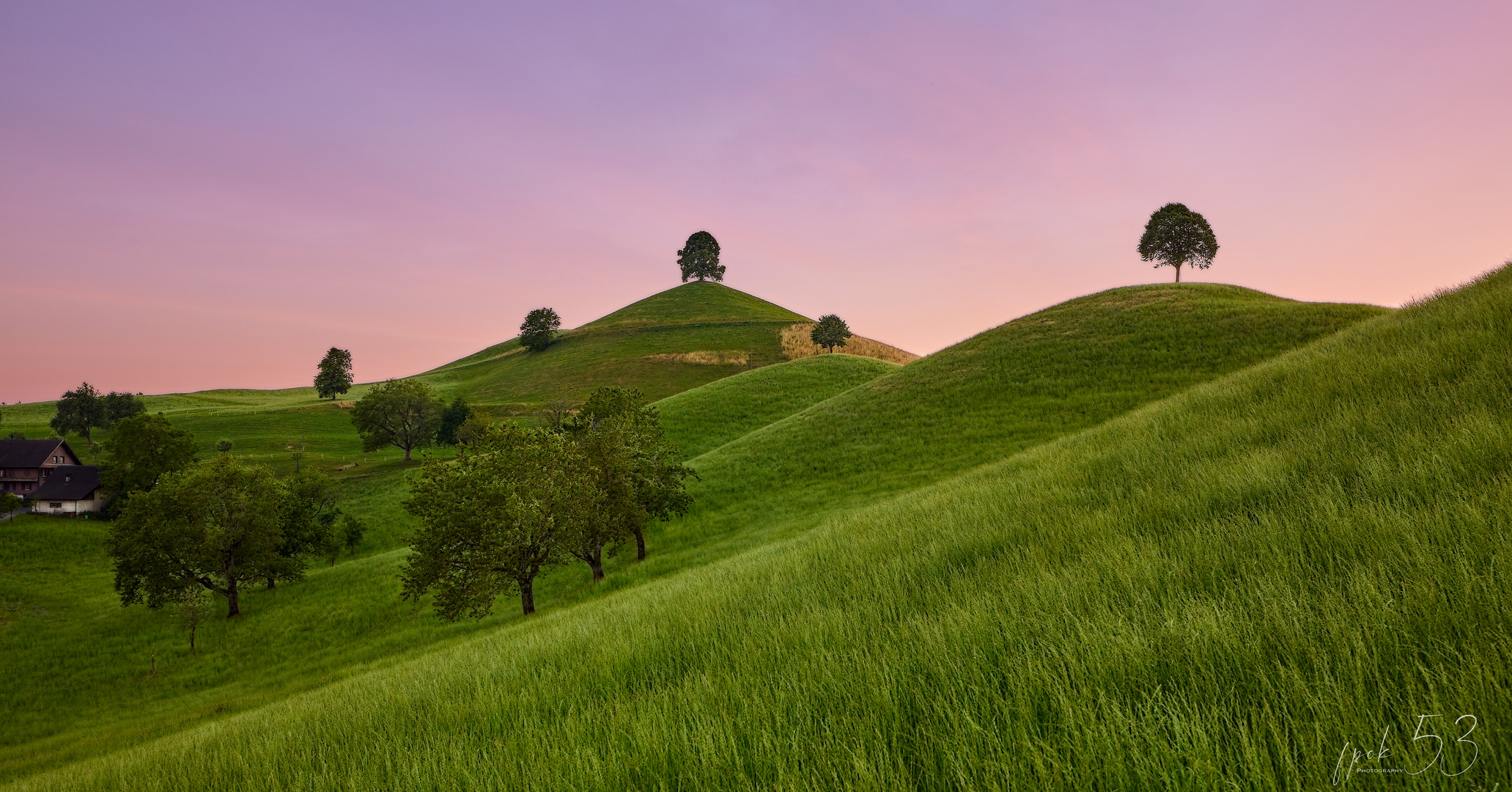 Drumlins nach Sonnenuntergang Foto & Bild | pflanzen, pilze & flechten, landschaft, bäume Bilder ...