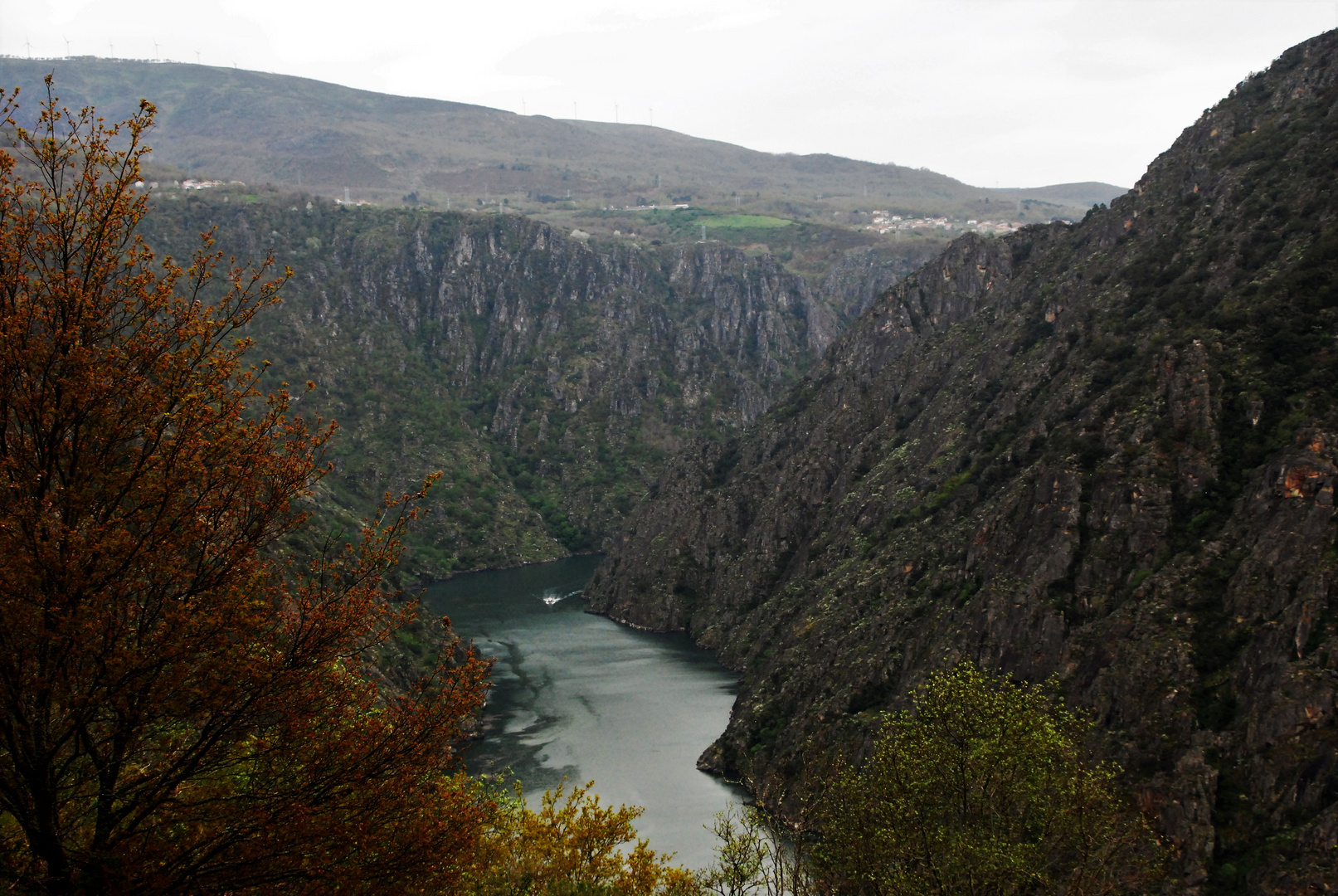 DSC_0074 cañon do sil Imagen & Foto | naturaleza, paisajes, miradas ...