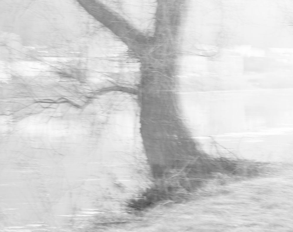 DSC_0113-2 Experiment Foto & Bild | pflanzen, pilze & flechten, landschaft, bäume Bilder auf ...