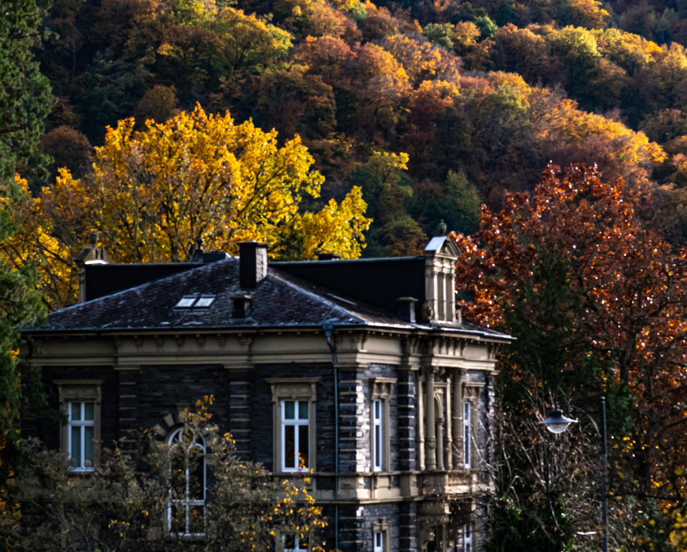 DSC_0934 noch ein Herbstfoto Foto & Bild | landschaft, jahreszeiten, herbst Bilder auf fotocommunity