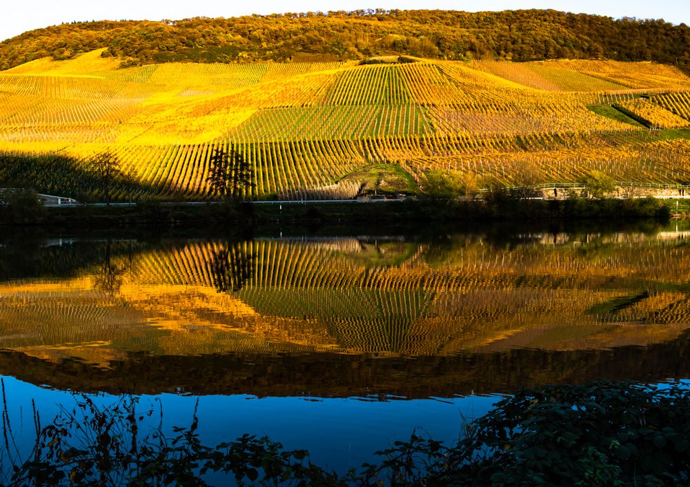 DSC_4574 Foto & Bild | landschaft, jahreszeiten, wald Bilder auf fotocommunity