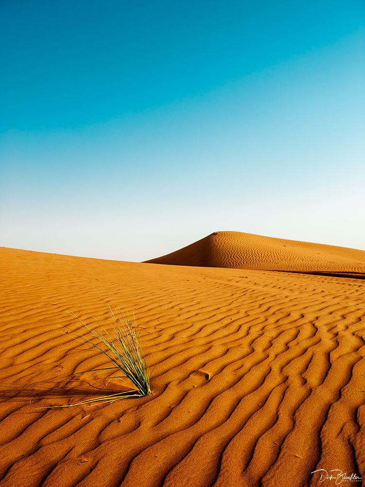 DSC_5575_276 Foto & Bild | landschaft, wüste, natur Bilder auf ...