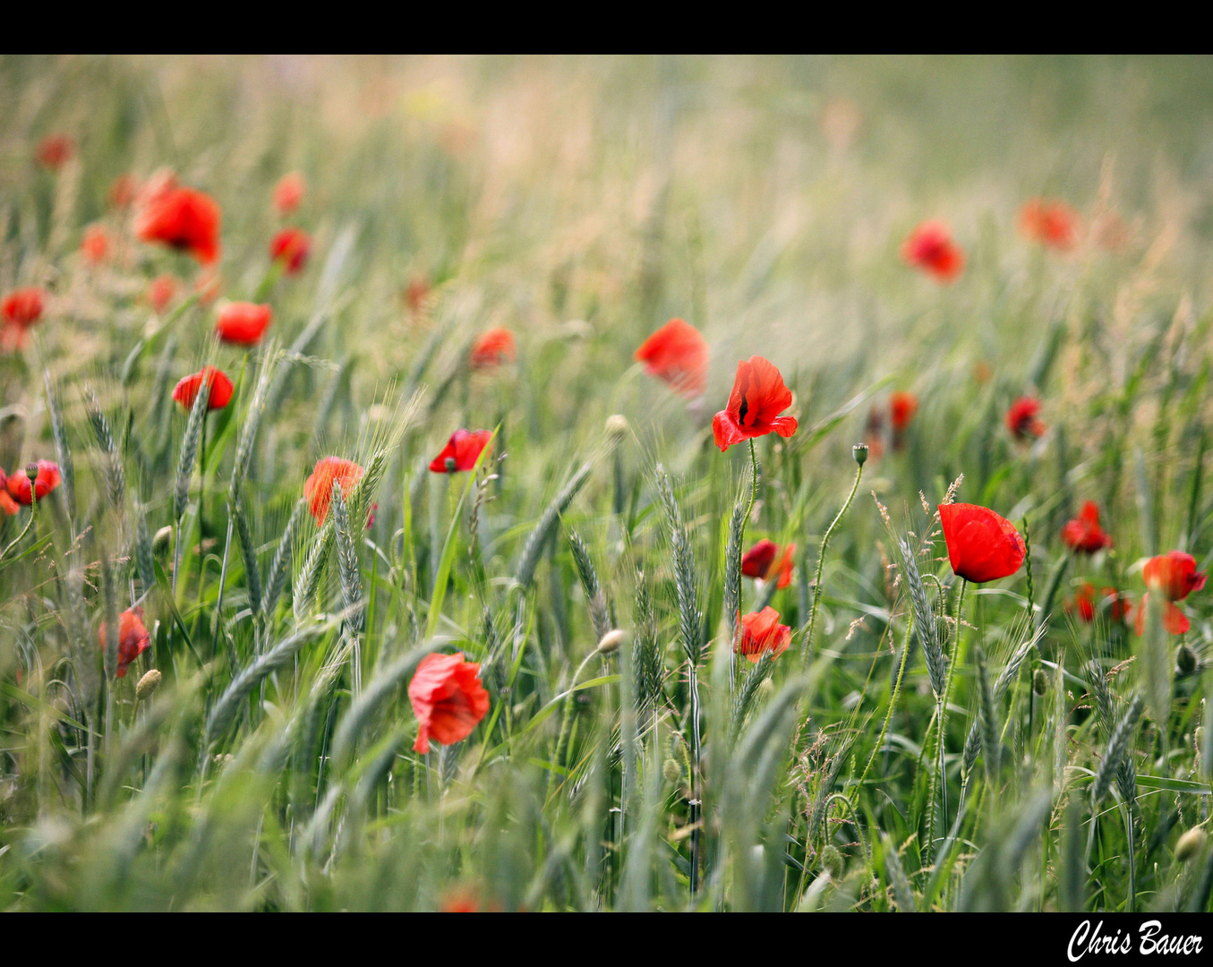 Du bist der Abspann vom Film und ich sitze noch da .. Foto & Bild ...