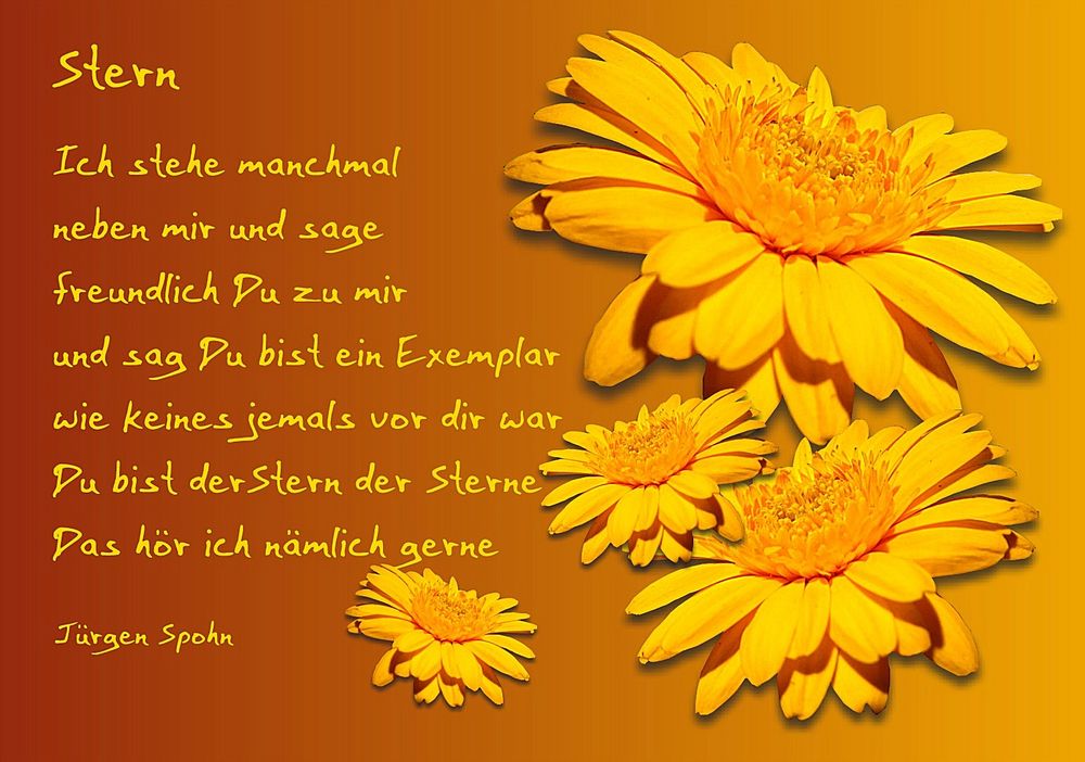 Du bist der Stern der Sterne Foto & Bild | karten und kalender, karten ...