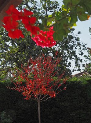 Jardins Images & Photos