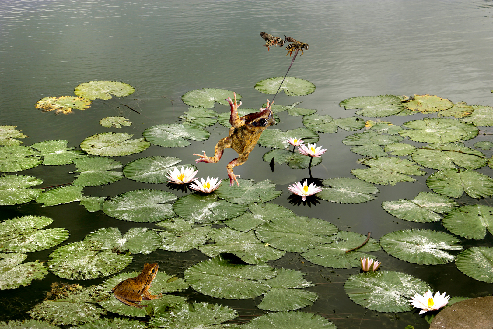 Du Sabiene , wie lange , sagst du , trainierst du schon ? Foto & Bild ...