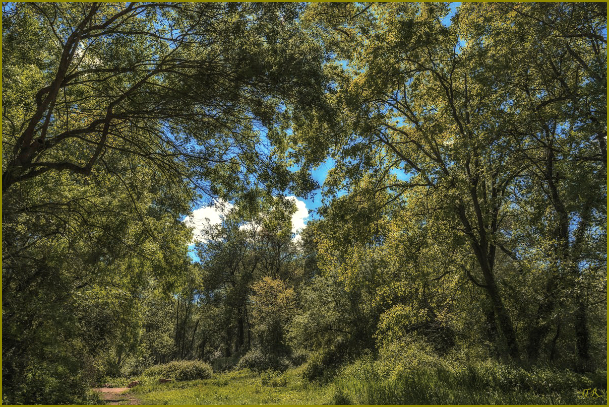 Du vert photo et image | paysages, paysages de campagne, nature Images ...