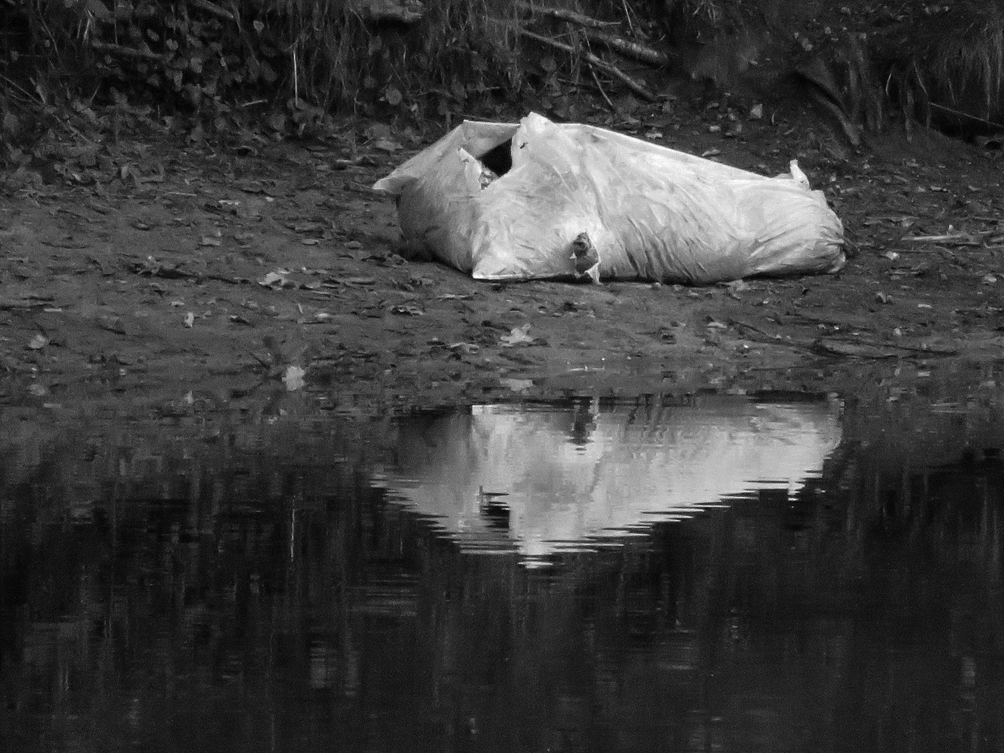 Dubios Foto & Bild | world, dokumentation, outdoor Bilder auf fotocommunity