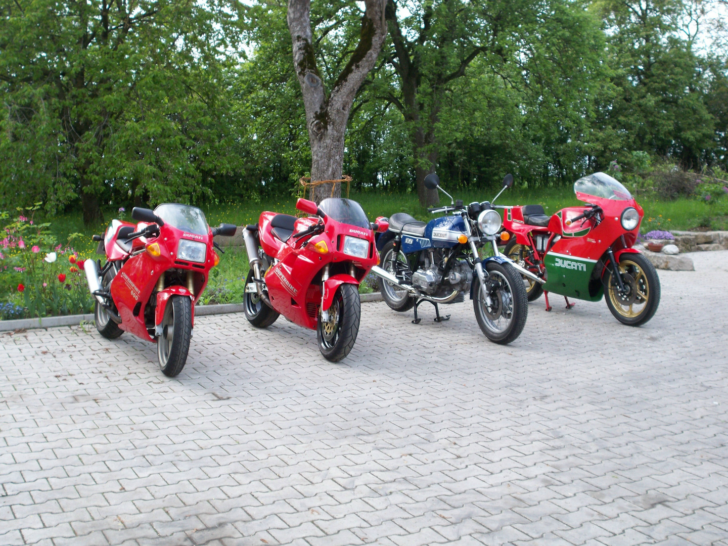 Ducati 600SS, 851, 860 GTS, 900 SS Mike Hailwood Replica Foto & Bild ...