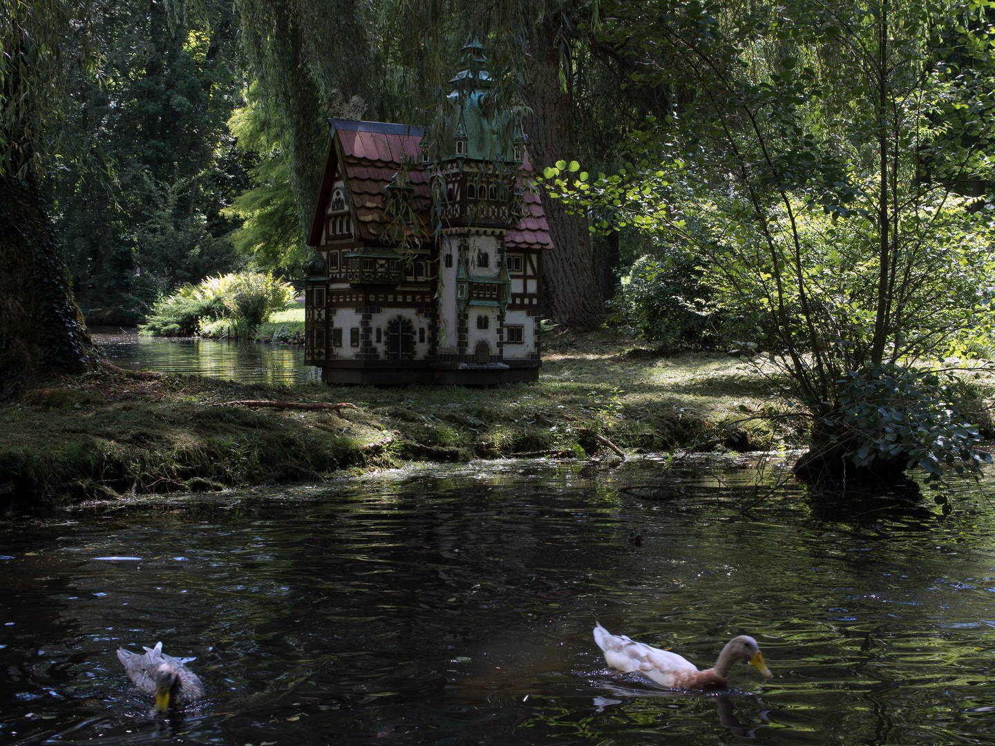 ~Duckburg~ Foto & Bild | landschaft, garten- & parklandschaften ...