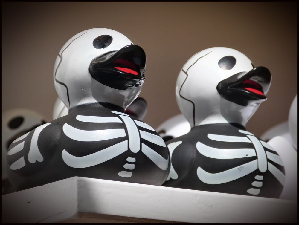 Ducks of Death Foto & Bild | gelb, niederlande, holland Bilder auf ...