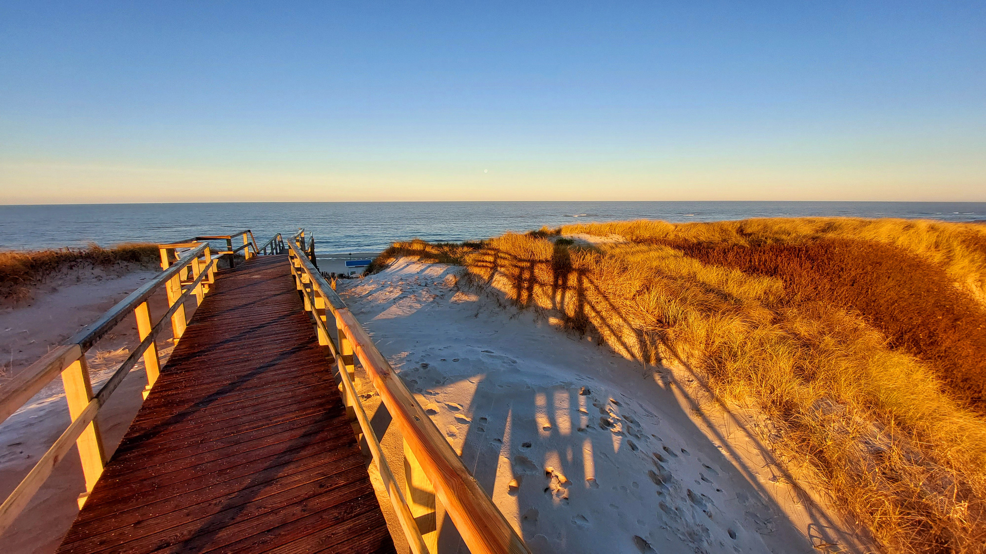 Düne auf Sylt Foto & Bild | landschaft, meer & strand, dünen Bilder auf ...