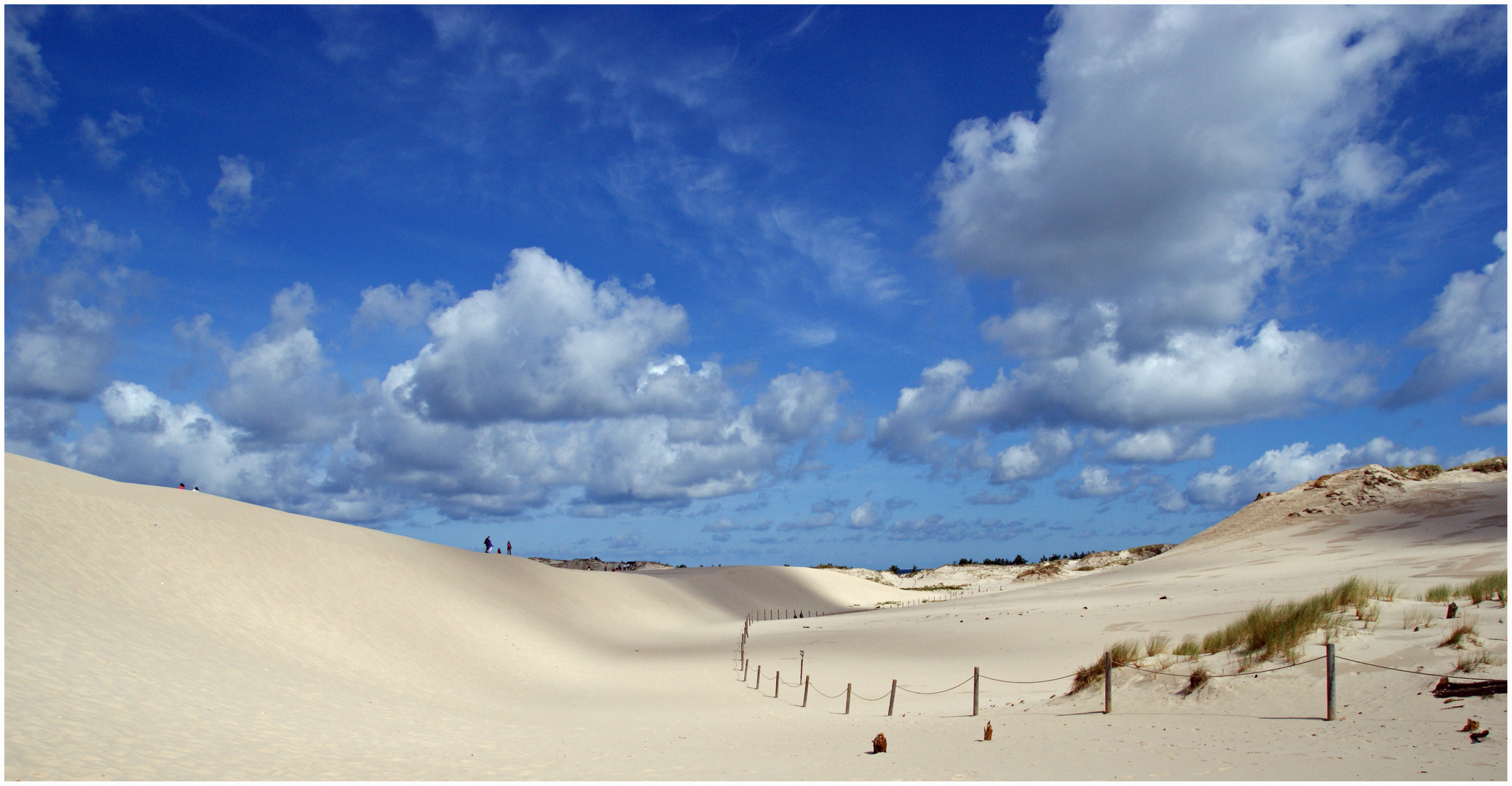 Düne bei Leba Foto & Bild | landschaft, meer & strand, dünen Bilder auf ...