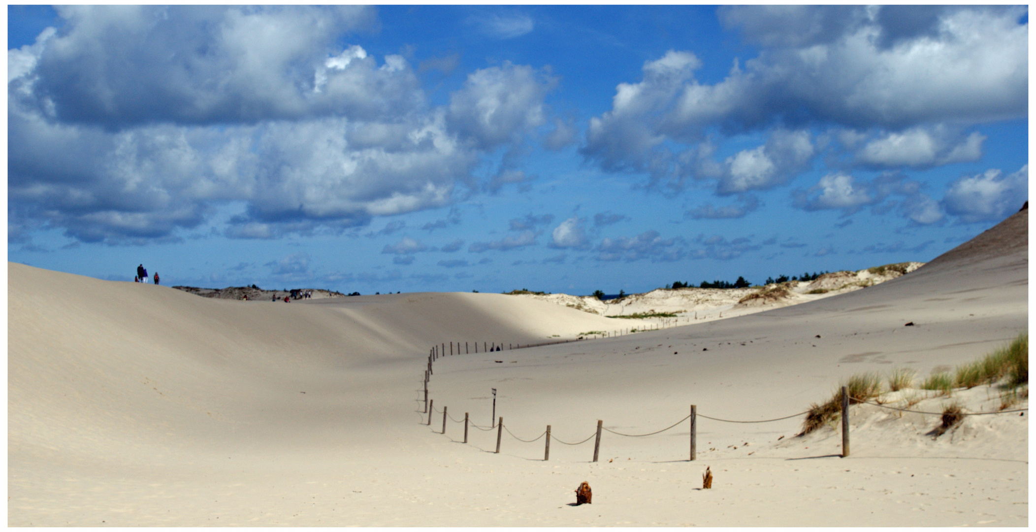 Düne bei Leba (Polen) Foto & Bild | landschaft, meer & strand, dünen ...