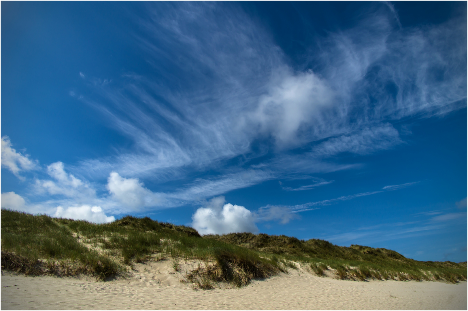 Dünen am Ellenbogen, Sylt Foto & Bild | deutschland, europe, schleswig ...