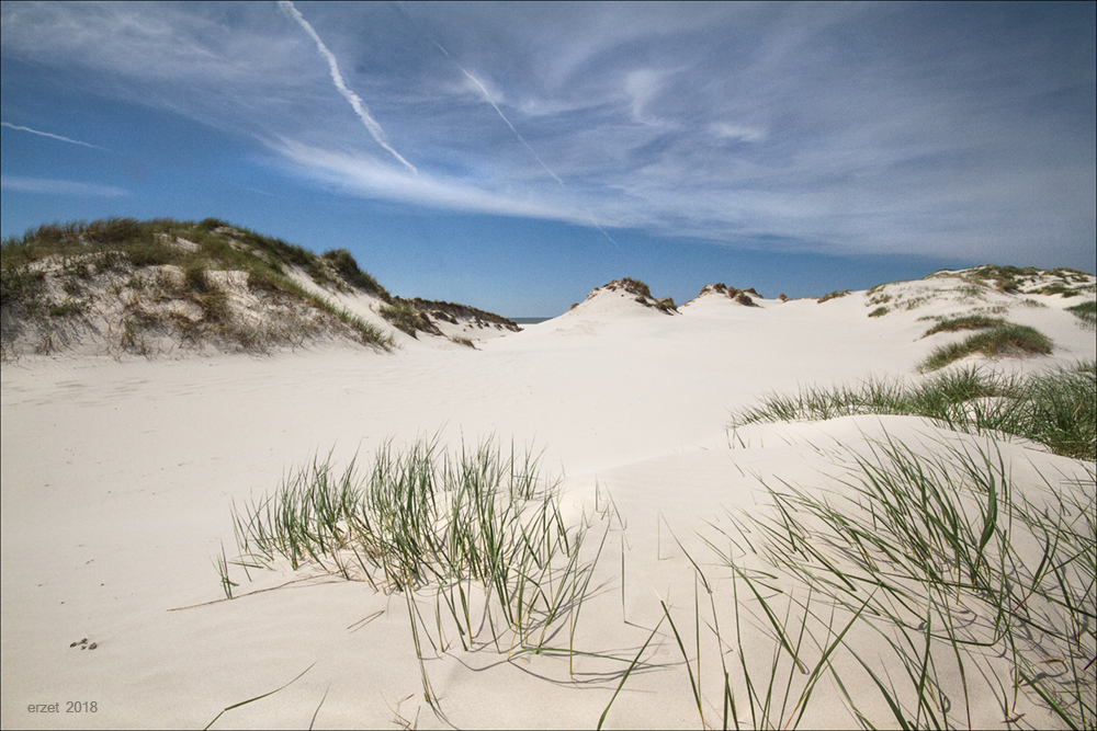 Dünen mit Meeresblick Foto & Bild | deutschland, europe, schleswig ...