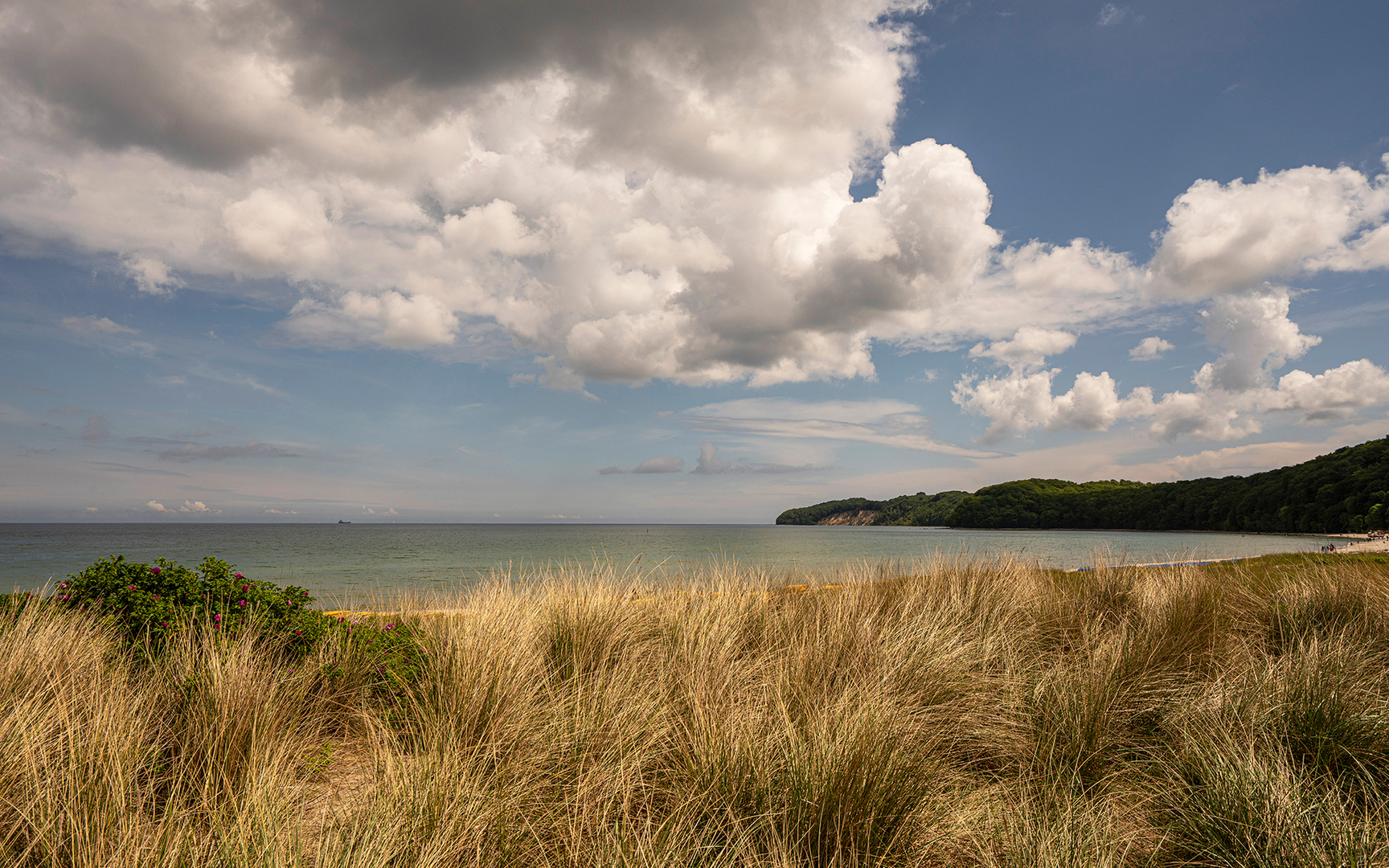 Dünengras Foto & Bild | deutschland, europe, mecklenburg- vorpommern ...