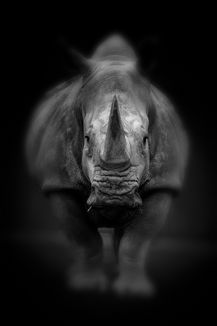 Dürfen wir vorstellen: IWAN Foto & Bild | projekte, fotokunst ...